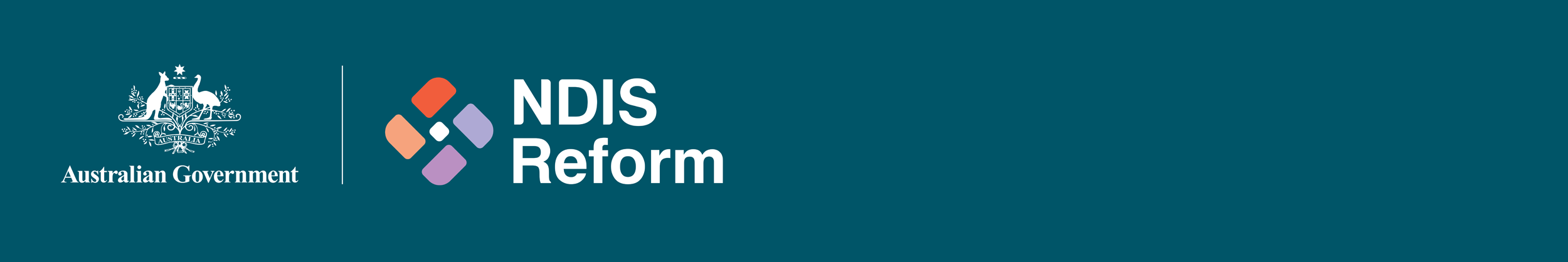 NDIS Reform Community Catch Up - Brisbane